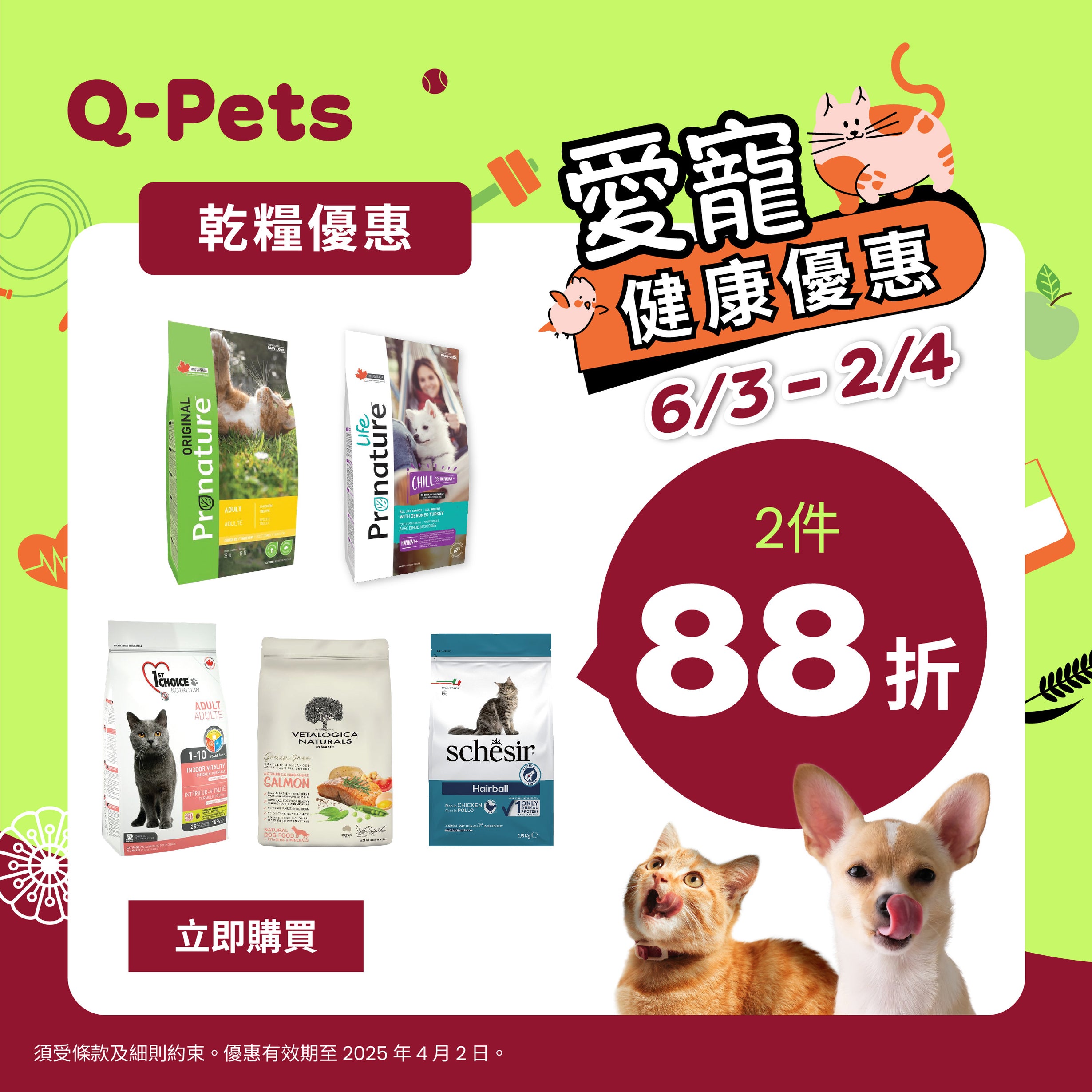 Q-PETS - 全港最強寵物全方位體驗店 | 你的愛寵首選