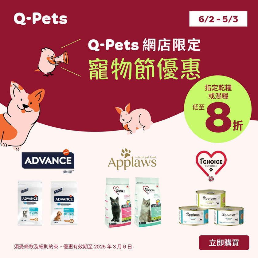 Q-PETS - 全港最強寵物全方位體驗店 | 你的愛寵首選