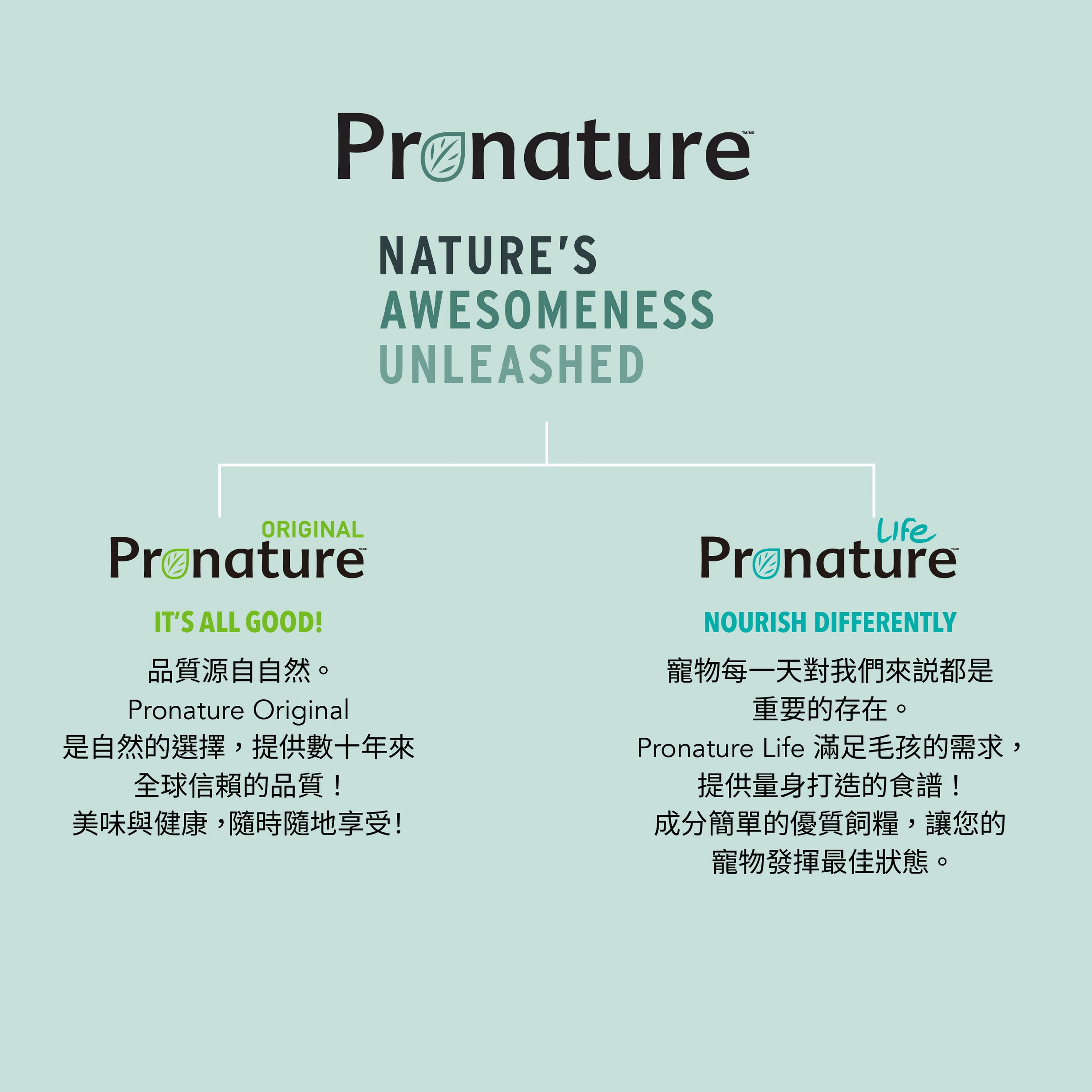 Q-PETS - 全港最強寵物全方位體驗店 | 你的愛寵首選