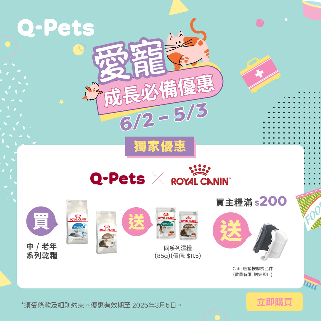 Q-PETS - 全港最強寵物全方位體驗店 | 你的愛寵首選