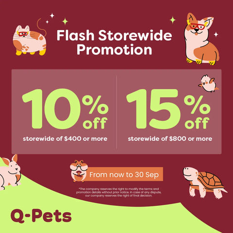 Q-PETS - 全港最強寵物全方位體驗店 | 你的愛寵首選