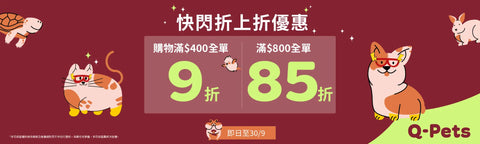 Q-PETS - 全港最強寵物全方位體驗店 | 你的愛寵首選