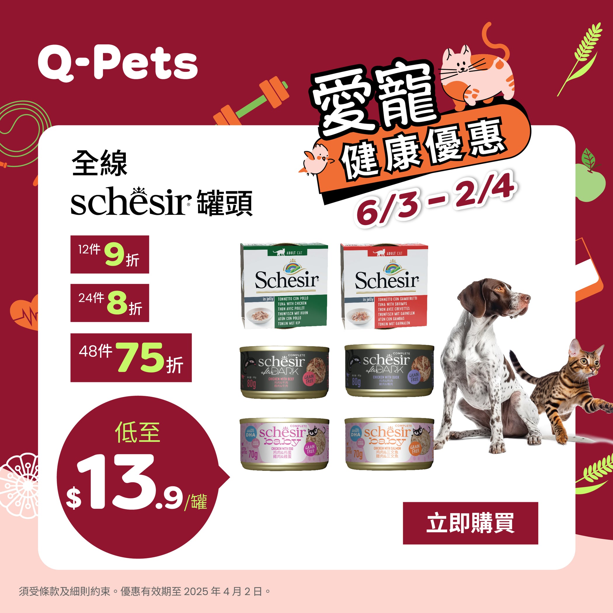 Q-PETS - 全港最強寵物全方位體驗店 | 你的愛寵首選