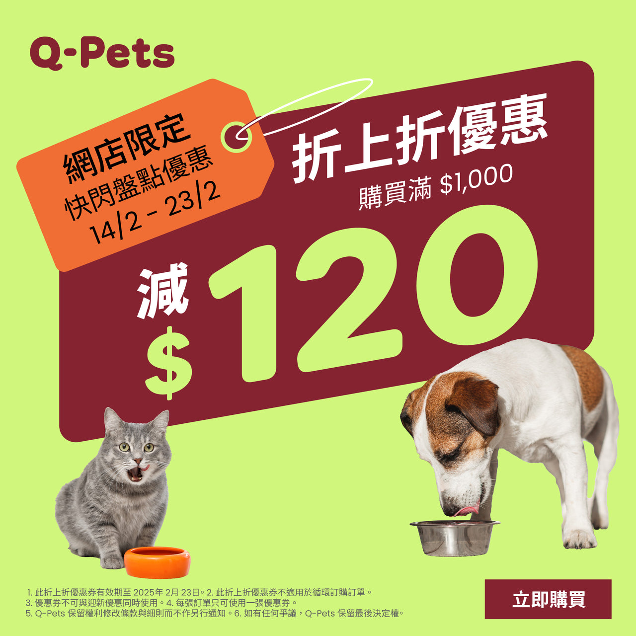Q-PETS - 全港最強寵物全方位體驗店 | 你的愛寵首選
