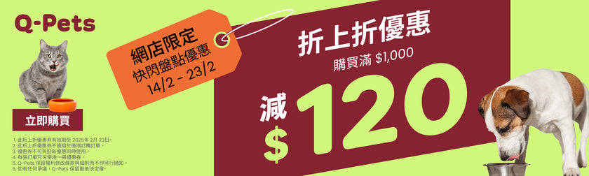 Q-PETS - 全港最強寵物全方位體驗店 | 你的愛寵首選