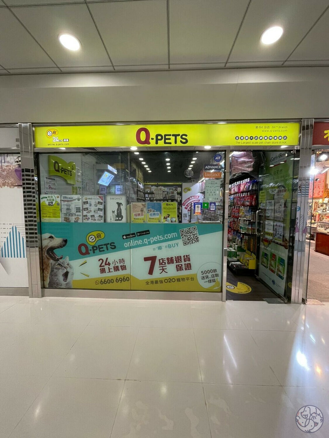 汪星人 | 1st Choice、Pronature Life、Advance 愛旺斯 | Q-Pets寵物用品店 – 52 頁 – Q-PETS